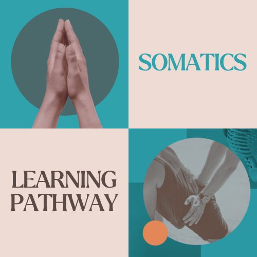 Somatics Learning Pathway – Embodied Philosophy Somatics Learning Pathway – Embodied Philosophy
